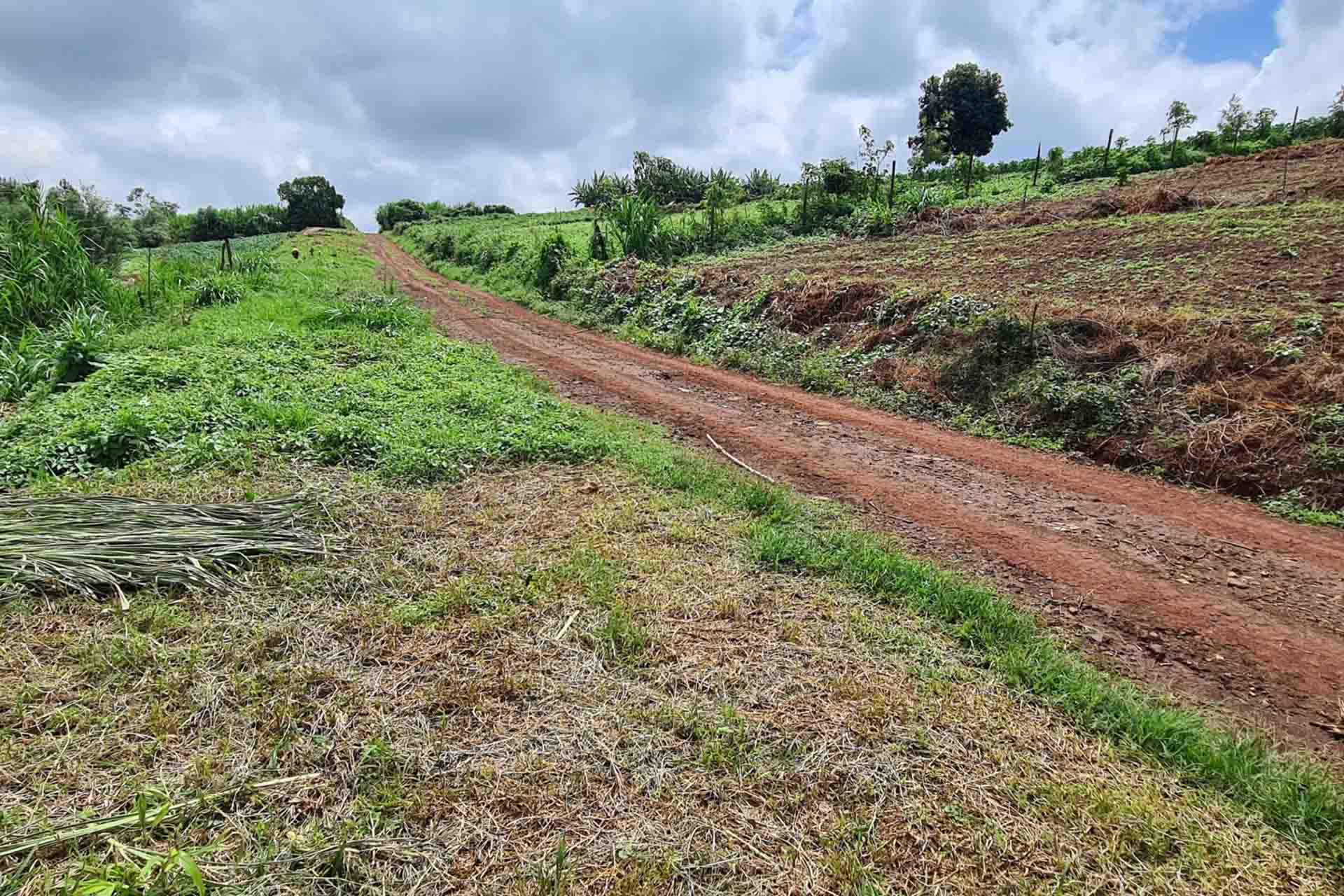 Ololua Ridge Karen - Diamond Afrika Holdings